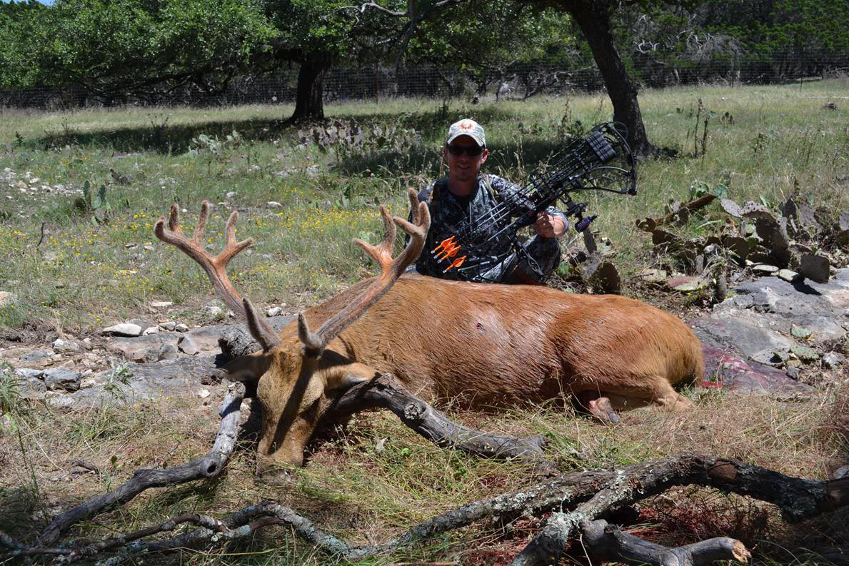 Barasingha Bull…Matt’s Dream Hunt! - The Patio Ranch