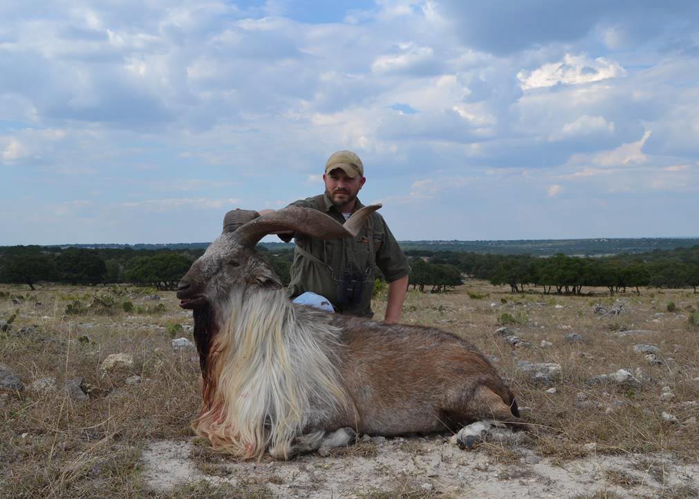 Shapley’s Long Wait for a Markhor and a Urial Ram! - The Patio Ranch